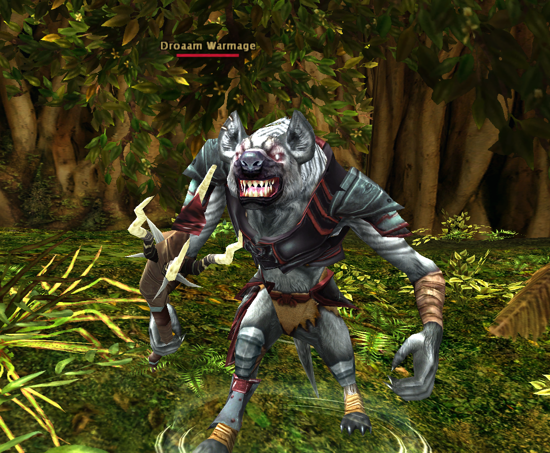 Droaam Warmage (Gnoll) - DDO Compendium