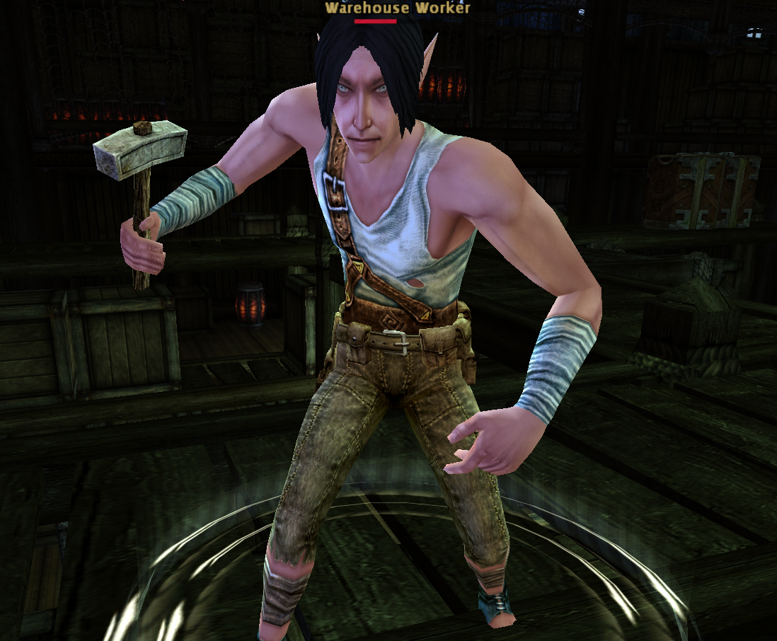 Warehouse Worker (Elf) - DDO Compendium