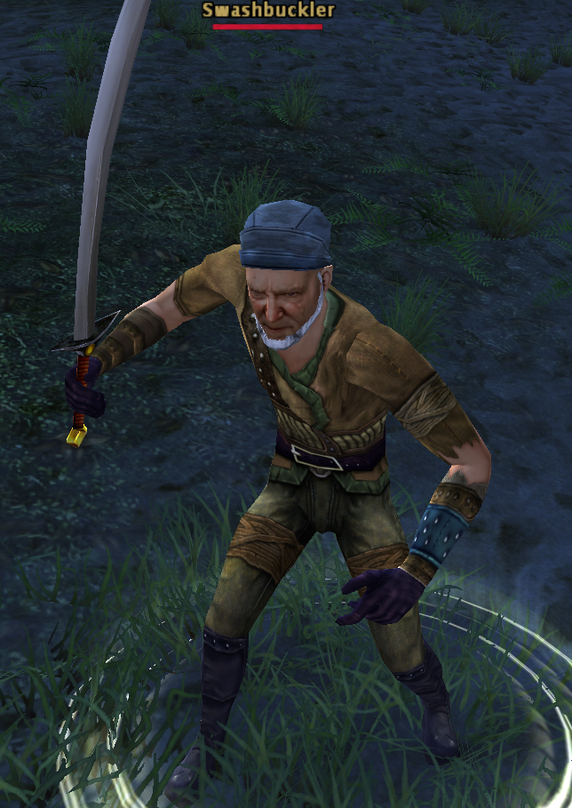 Swashbuckler (Human) - DDO Compendium