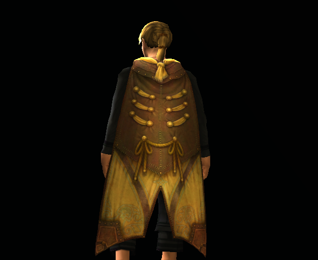 Defender's Cloak - DDO Compendium