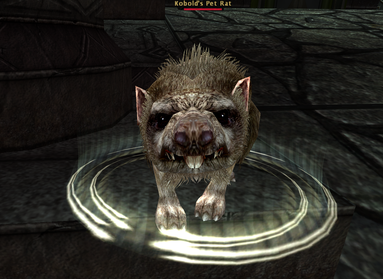 Kobold's Pet Rat - DDO Compendium