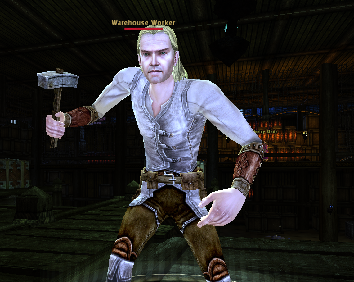 Warehouse Worker (Human) - DDO Compendium