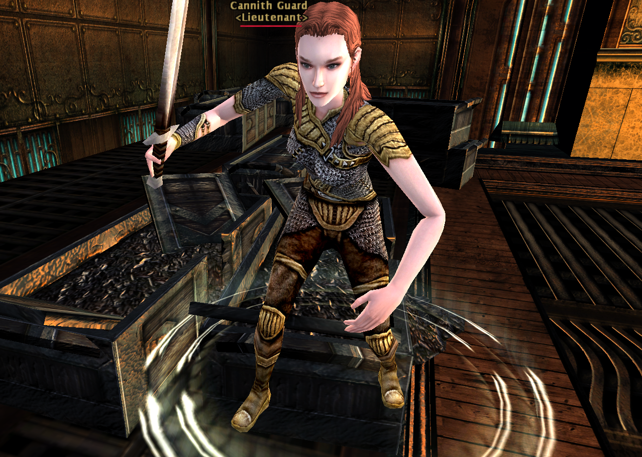 Cannith Guard (Lieutenant) - DDO Compendium