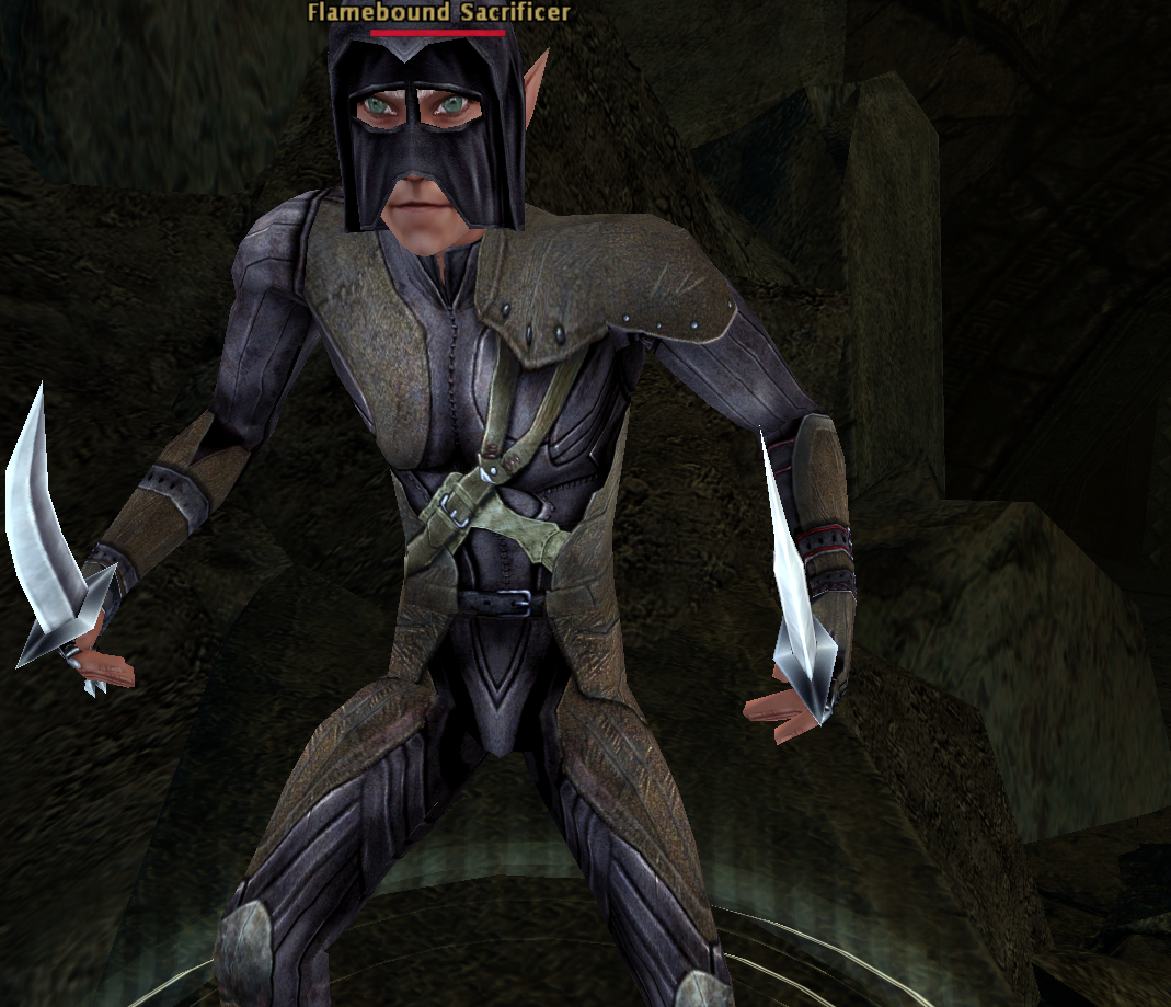 Flamebound Sacrificer (Elf) - DDO Compendium