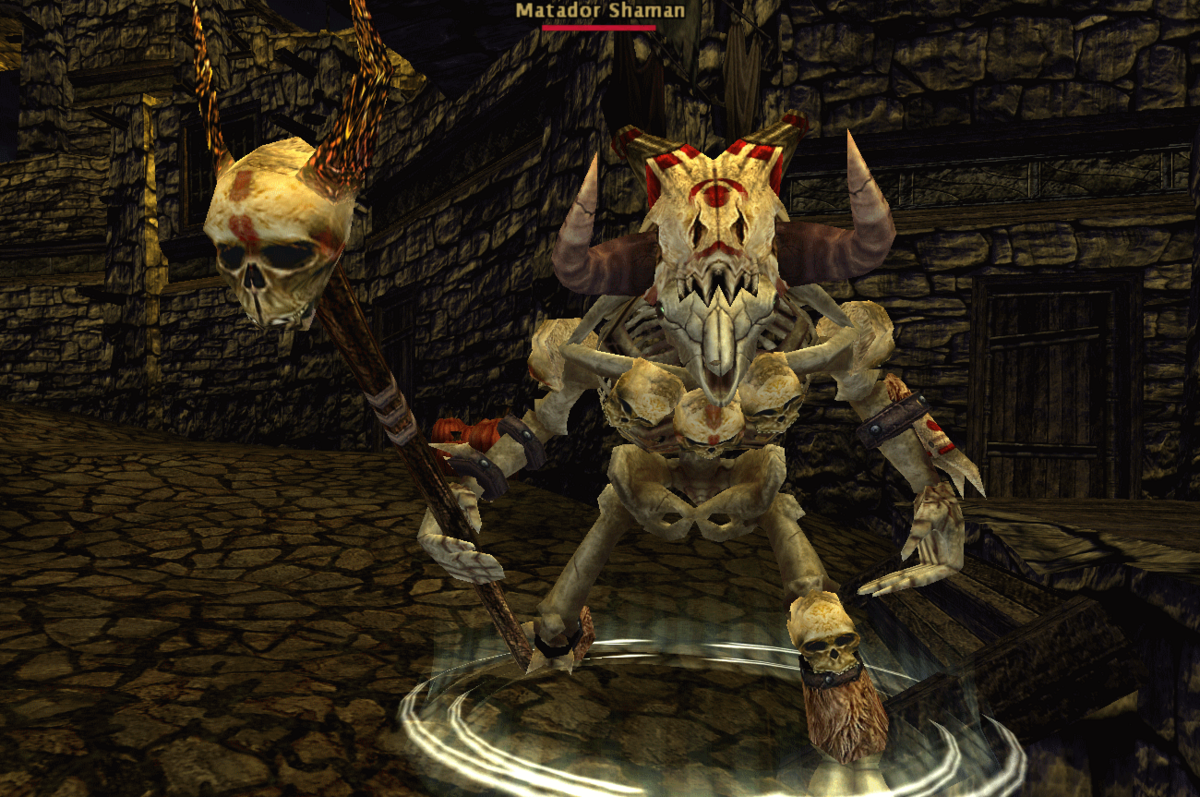 Matador Shaman (Skeleton) - DDO Compendium