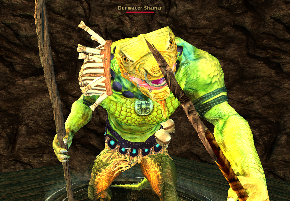 Dunwater Shaman - DDO Compendium