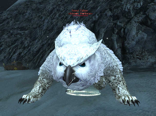 Frost Talon - DDO Compendium