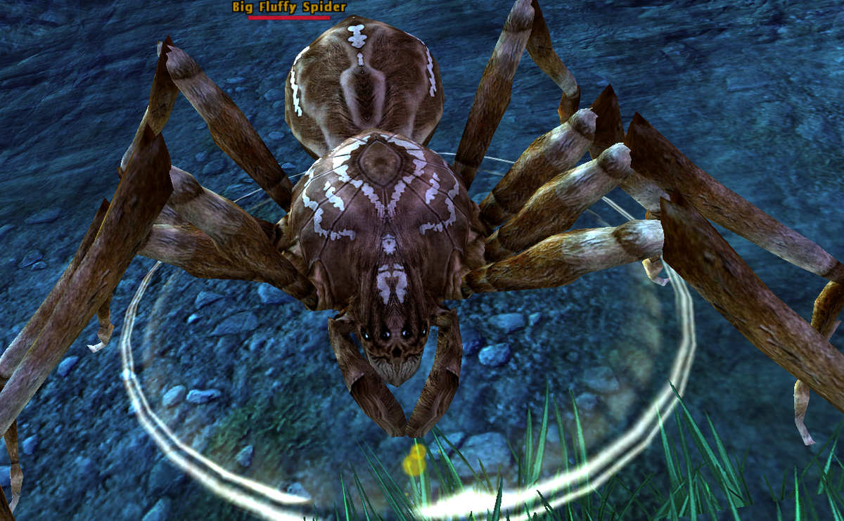 Big Fluffy Spider - DDO Compendium
