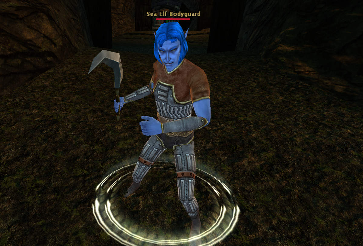 Sea Elf Bodyguard - DDO Compendium