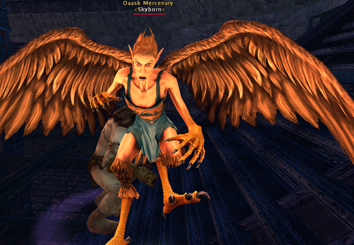 Daask Mercenary - DDO Compendium