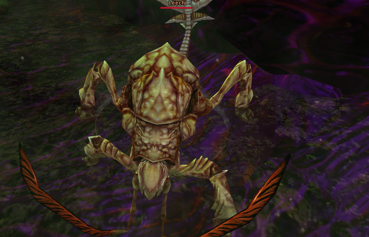 Leech - DDO Compendium