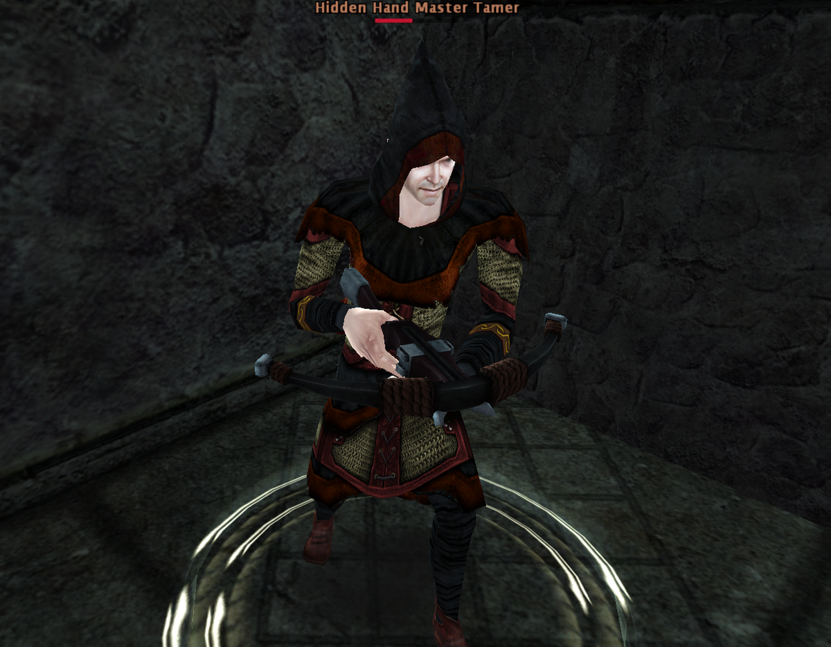 Hidden Hand Master Tamer - DDO Compendium