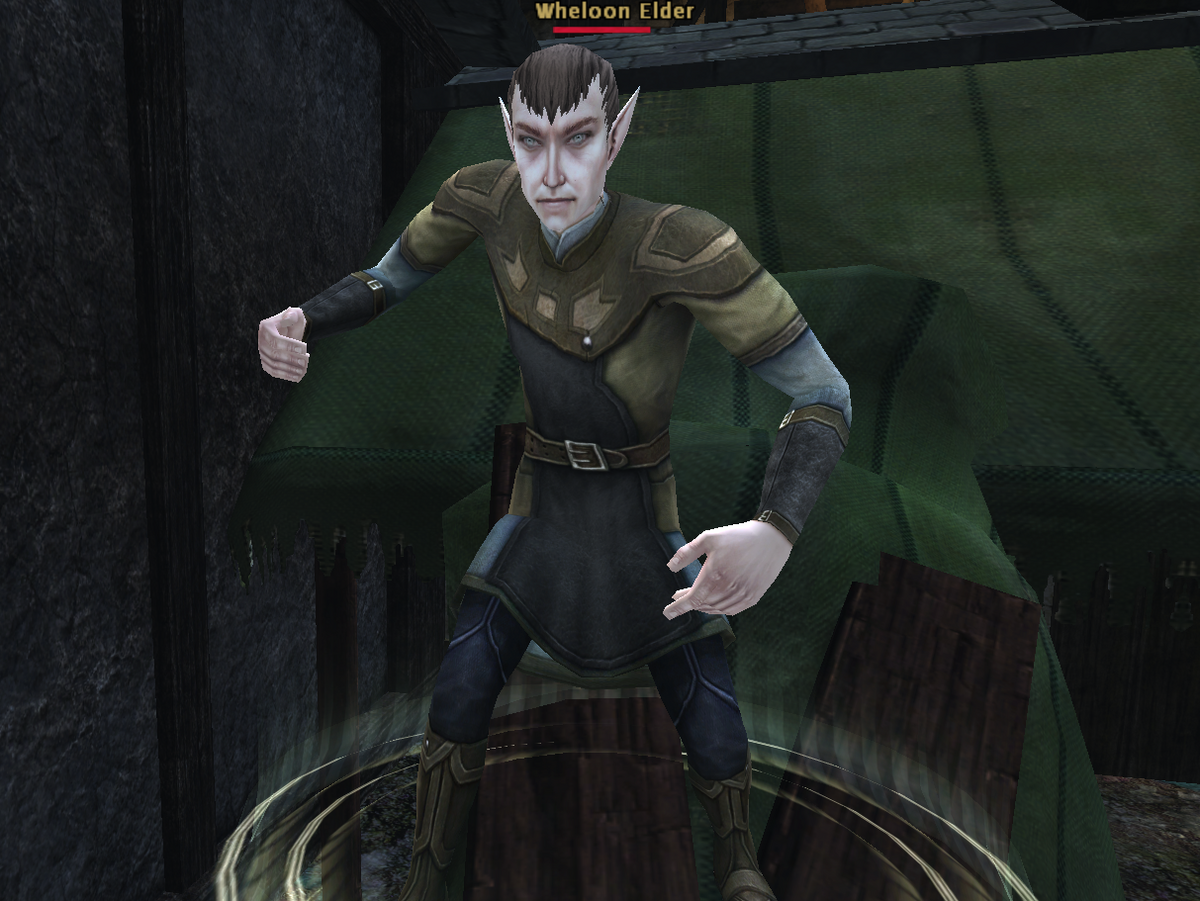 Wheloon Elder (Elf) - DDO Compendium
