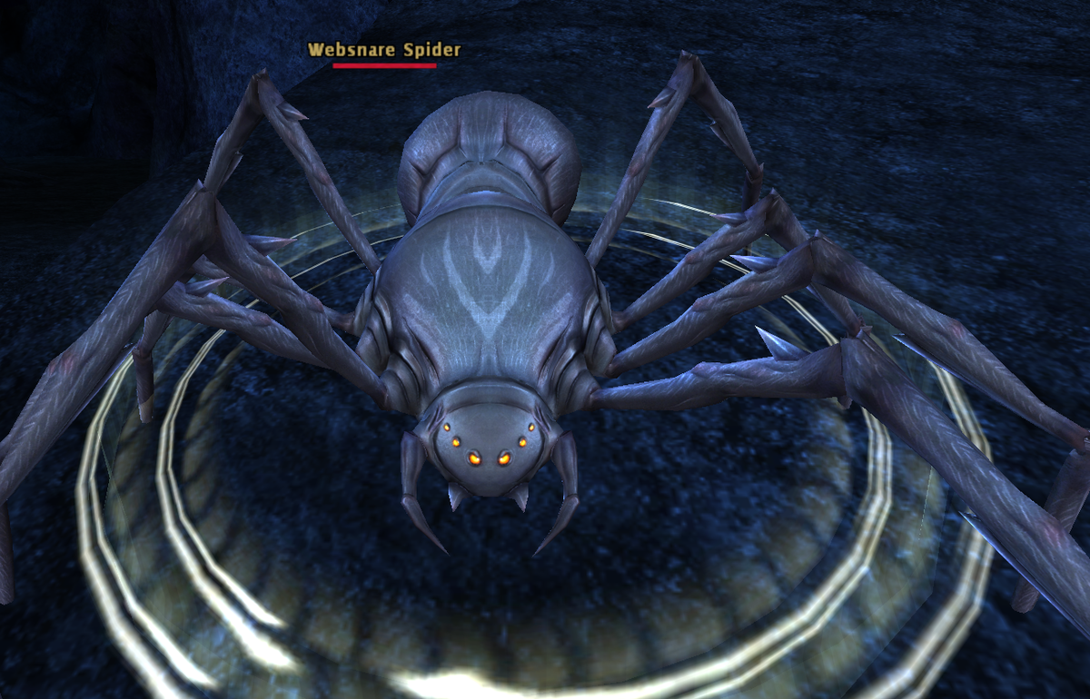 Websnare Spider - DDO Compendium
