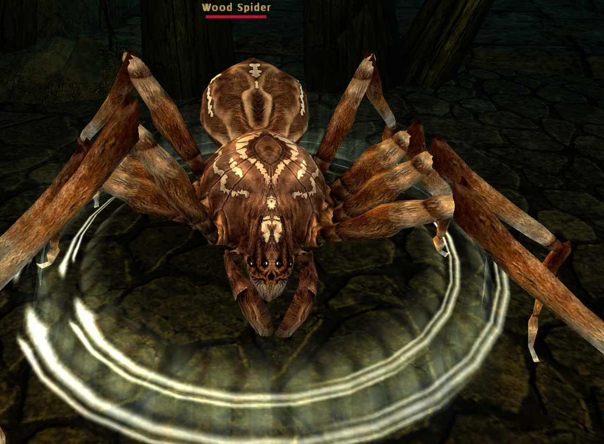 Wood Spider - DDO Compendium