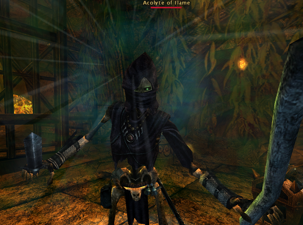 Acolyte of Flame (Skeleton) - DDO Compendium