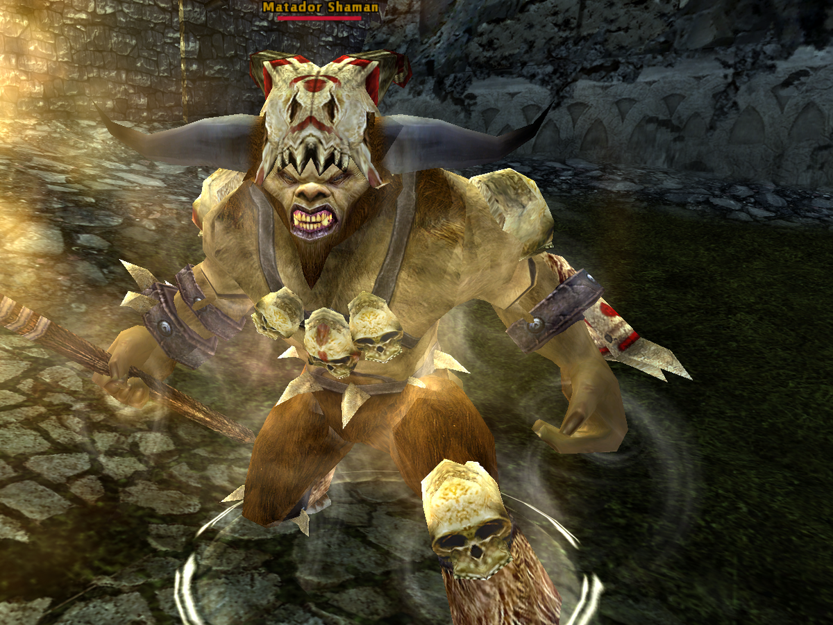 Matador Shaman - DDO Compendium