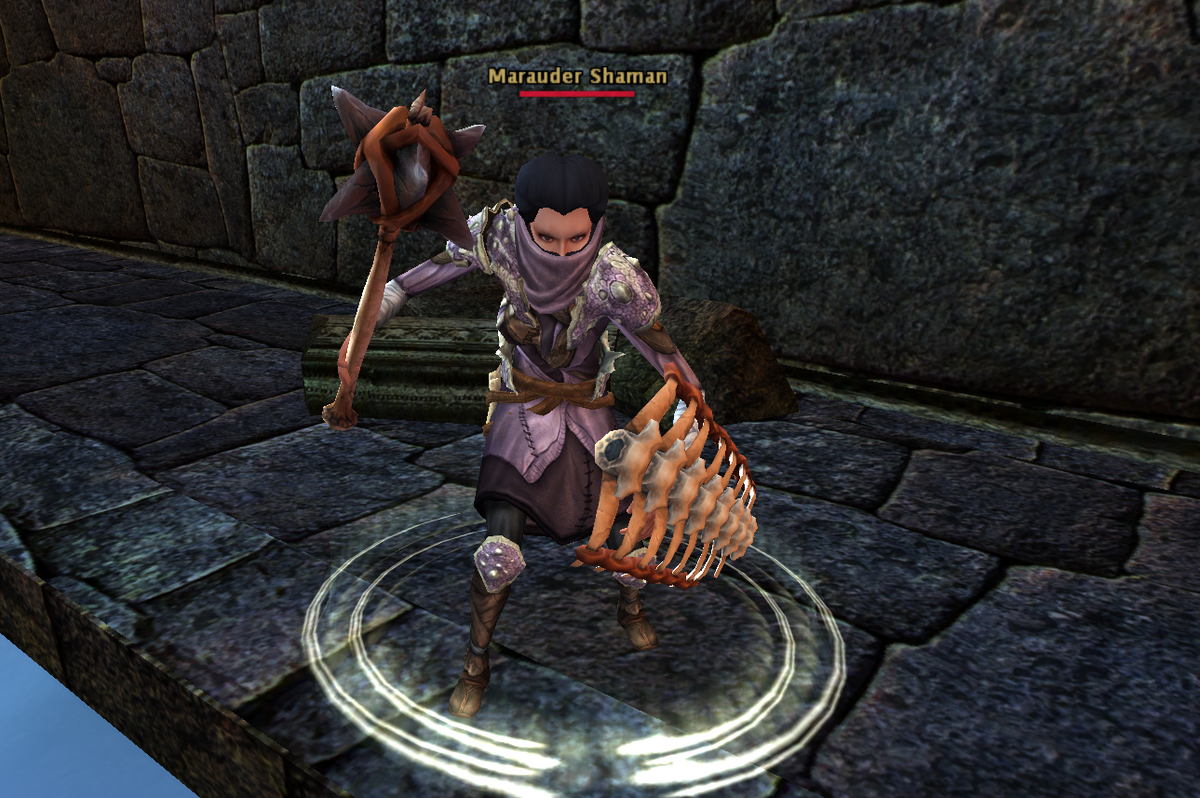 Marauder Shaman - DDO Compendium