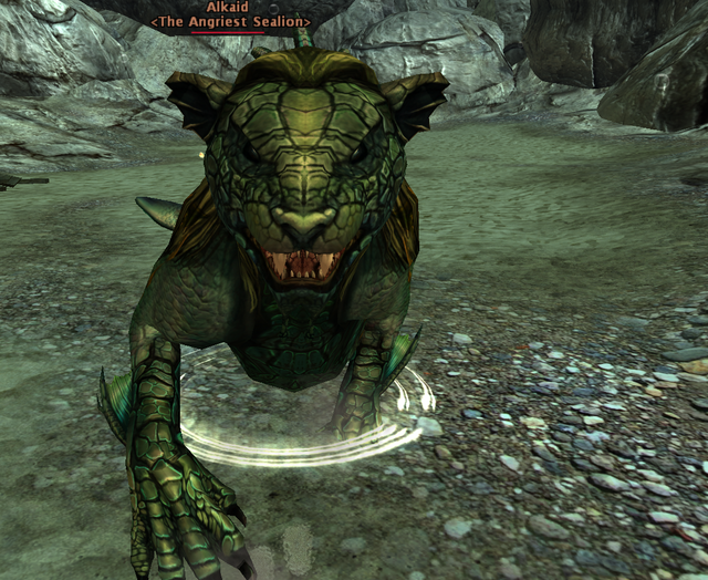 Alkaid - DDO Compendium