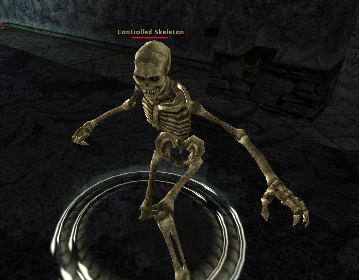Controlled Skeleton - DDO Compendium