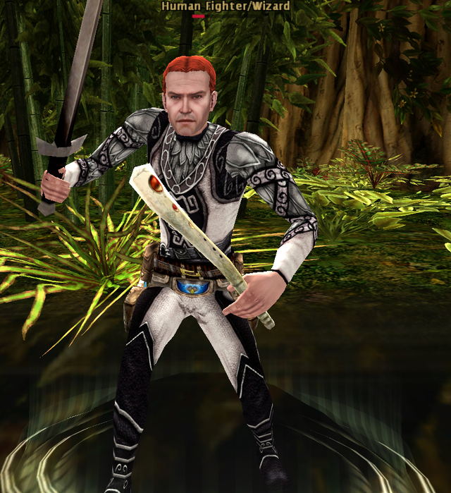 Human Fighter/Wizard - DDO Compendium