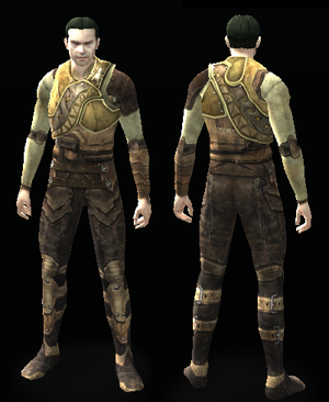 Wraith's Skin - DDO Compendium