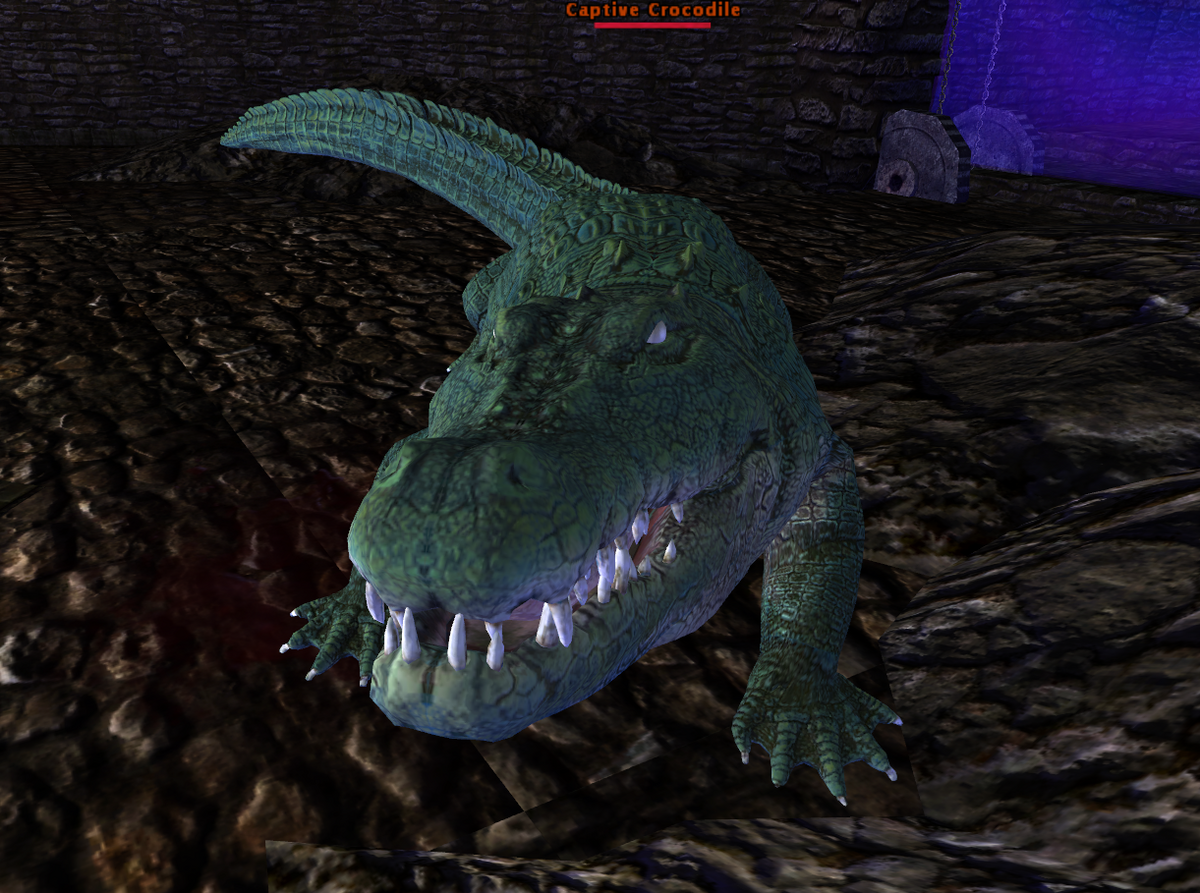 Captive Crocodile - DDO Compendium