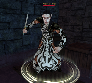 Priest of Vol (Elf) - DDO Compendium