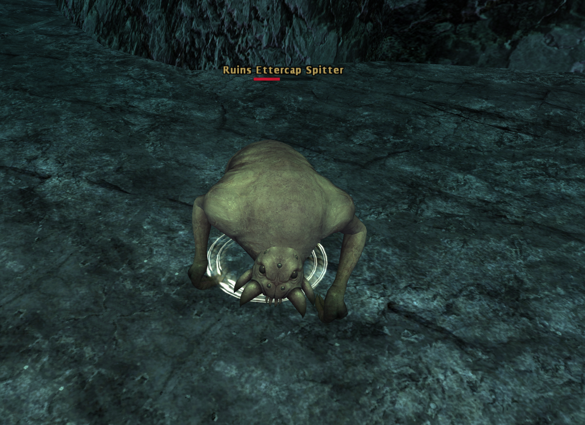 Ruins Ettercap Spitter - DDO Compendium