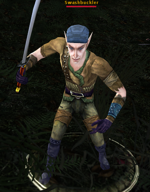 Swashbuckler (Elf) - DDO Compendium