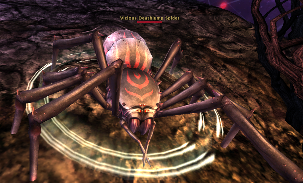 Vicious Deathjump Spider - DDO Compendium
