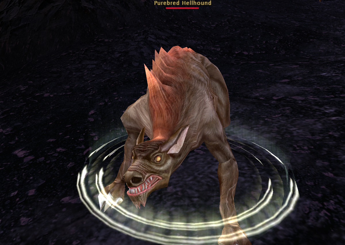 Purebred Hellhound - DDO Compendium