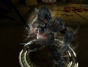 Droaam Warmage (Orc) - DDO Compendium