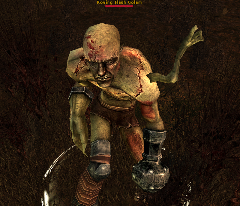 Roving Flesh Golem - DDO Compendium