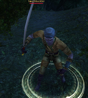 Swashbuckler (Drow Elf) - DDO Compendium